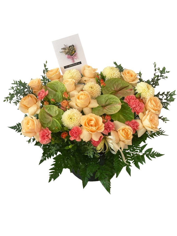 Miller Posy Box – Flowerhouse